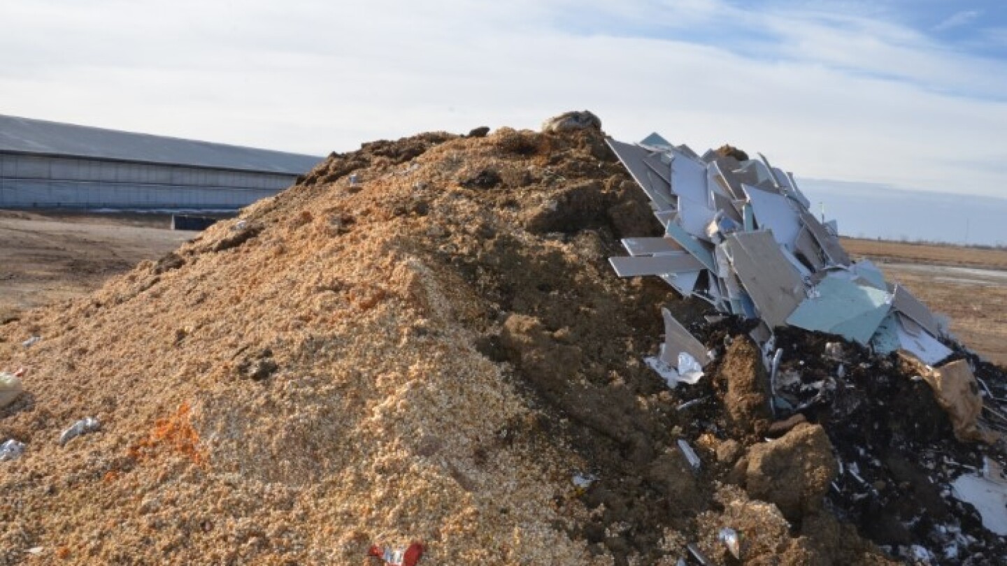 Nebraska Grocery Chain Joining Dairy in Compost Venture - Dairy Herd