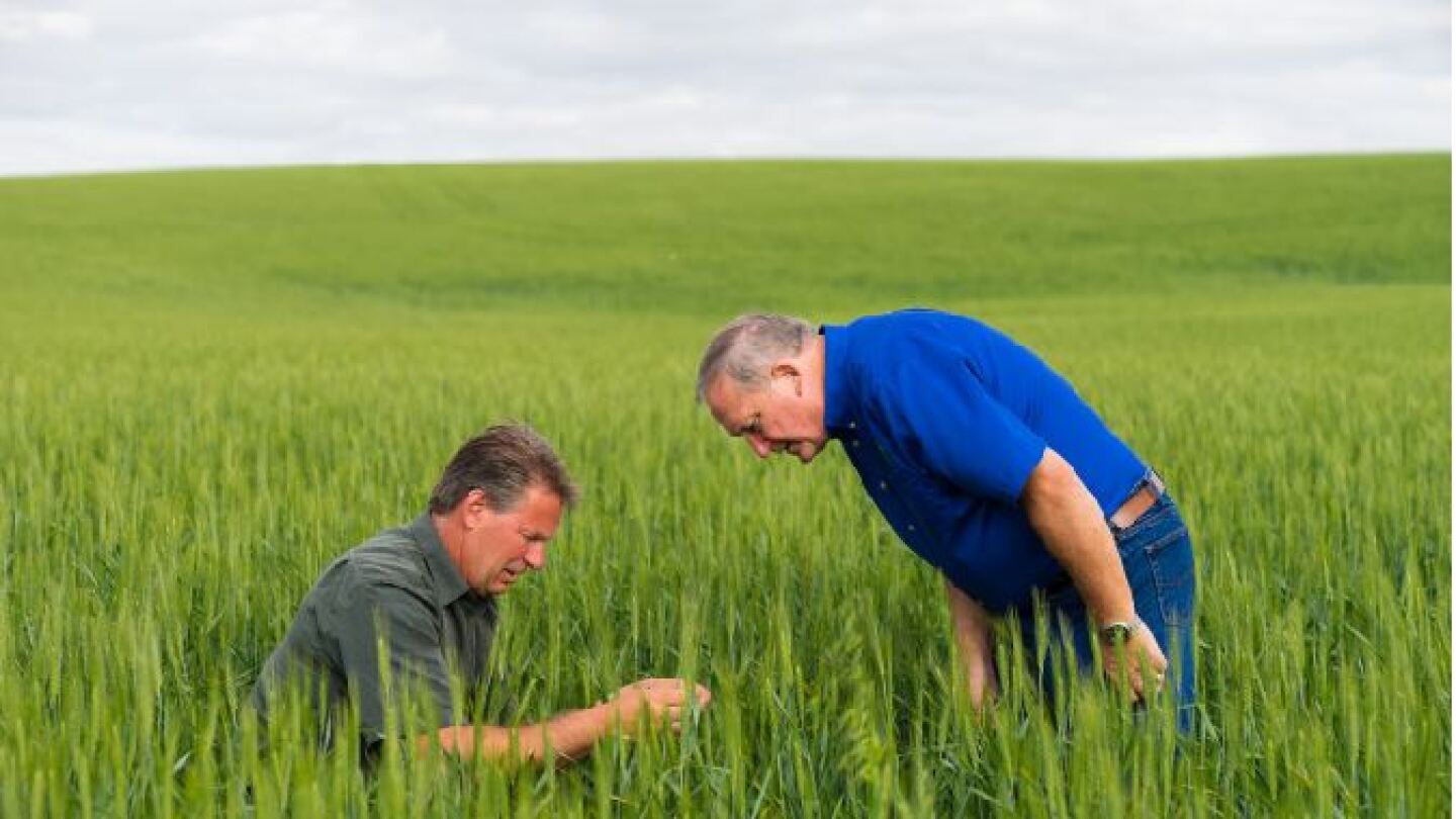 New Study Looks At The Relationship Between Farmers And Their Advisors ...