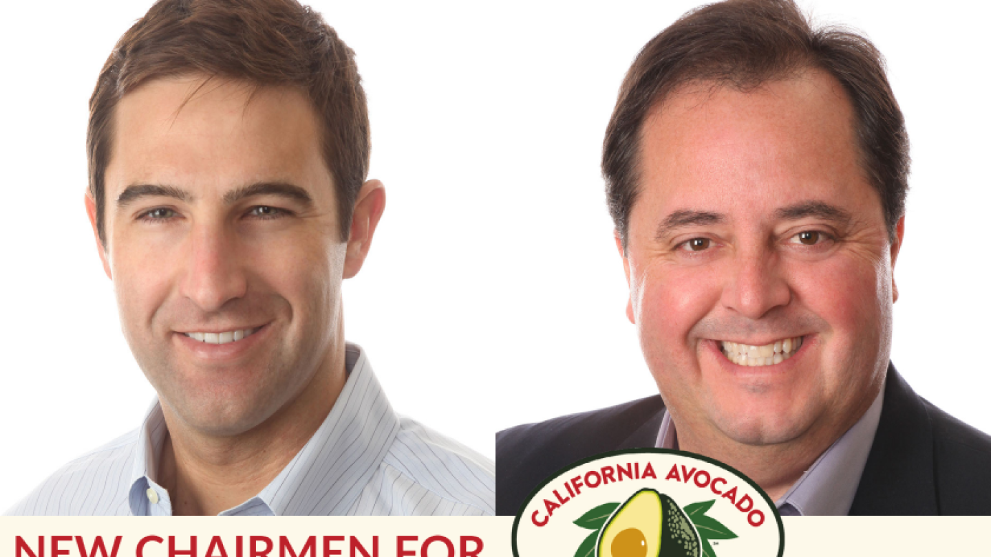 California Avocado Commission appoints executive committee - The Packer
