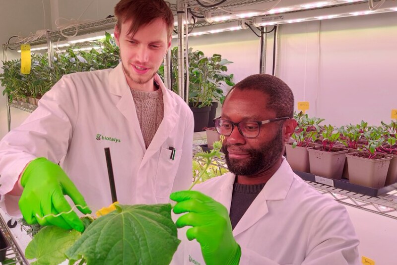 Syngenta and Biotalys partner to advance solutions for sustainable ag ...