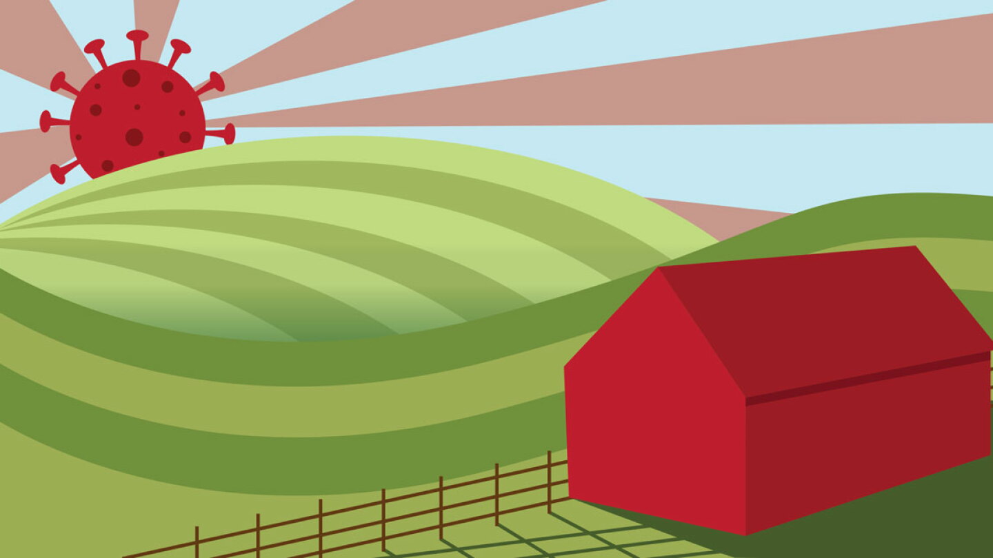CDC Releases Checklist for Creating a COVID-19 Control Plan on Farms ...