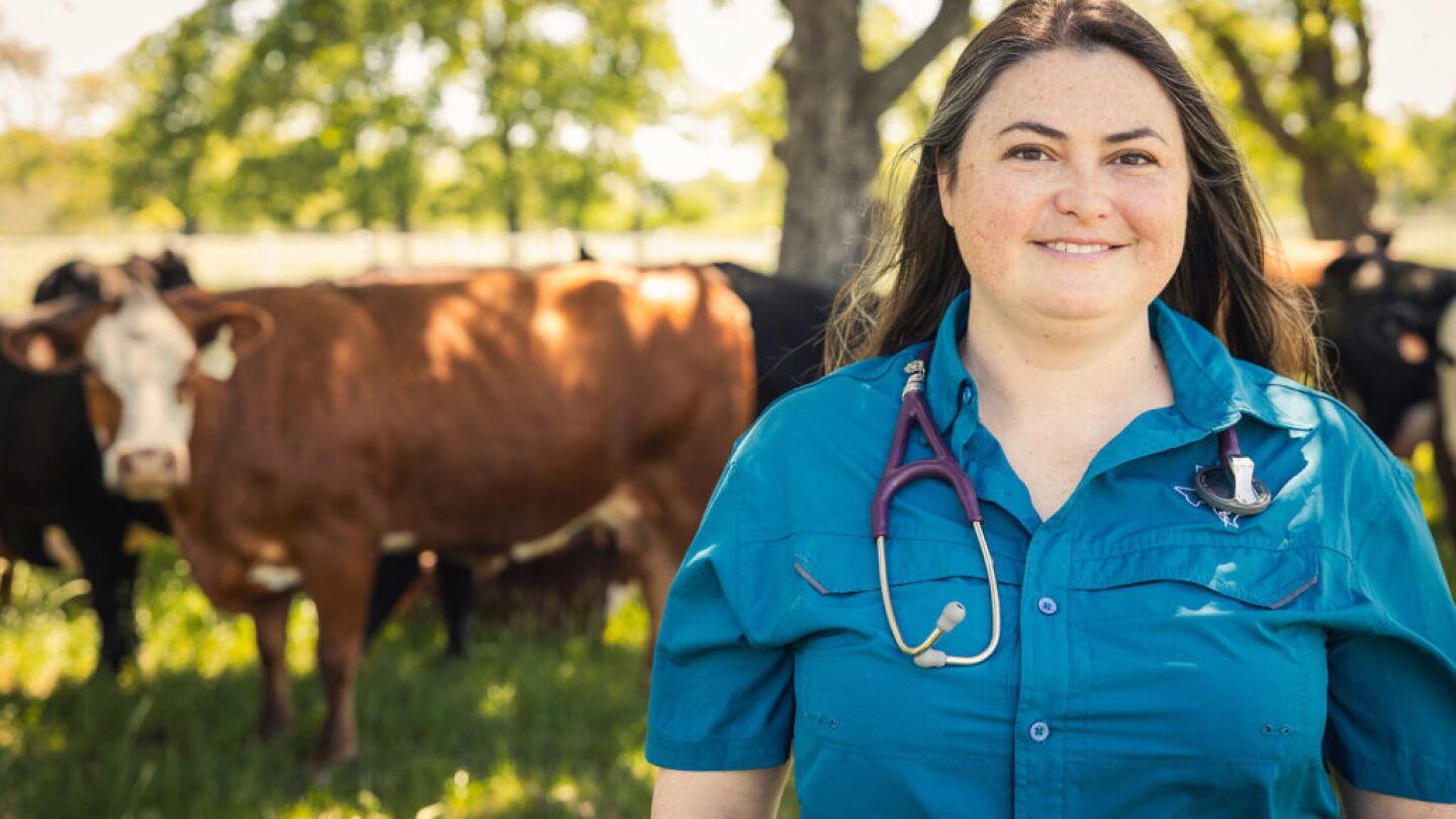 Historian turned Aggie Veterinarian Finds new Purpose in Cattle ...