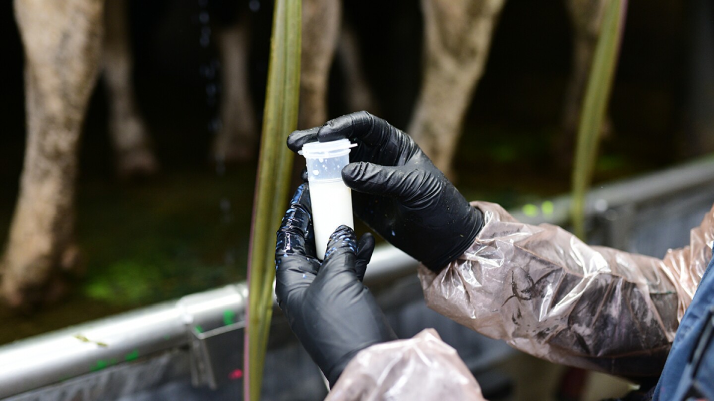 First Case of Avian Flu Detected in Wisconsin Dairy Herd - Dairy Herd