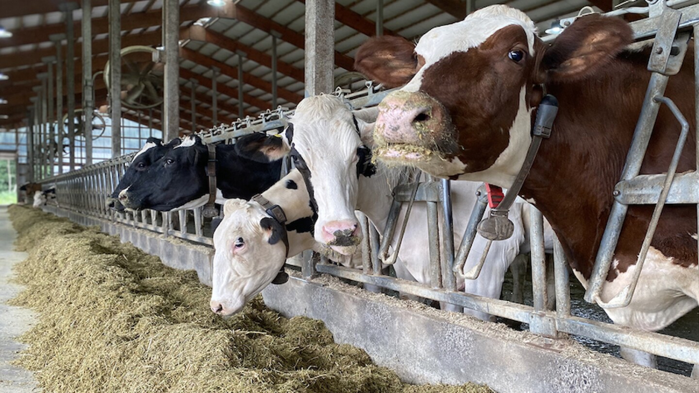 Look for Subclinical Stages of Hypocalcemia When Metabolic Alkalosis is ...