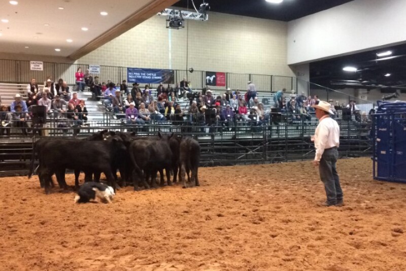 Cattlemen Gather in San Antonio for the 2015 Cattle Industry Convention ...