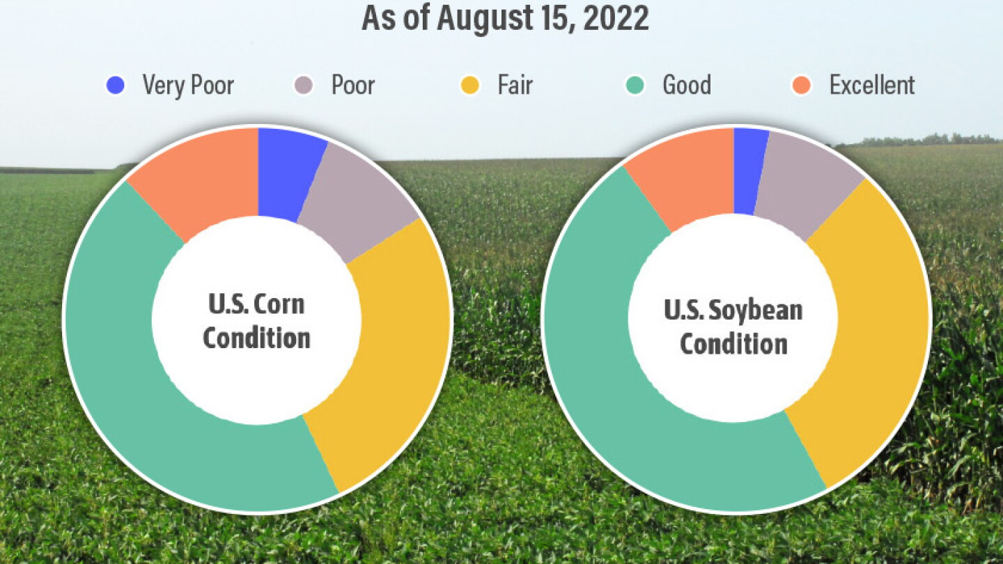 Less than 60% of the U.S. Corn Crop in Good or Excellent Condition ...