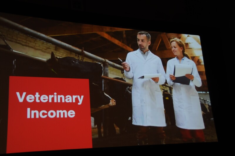 Bovine Veterinary Salary and Benefits Survey Results - Bovine Vet