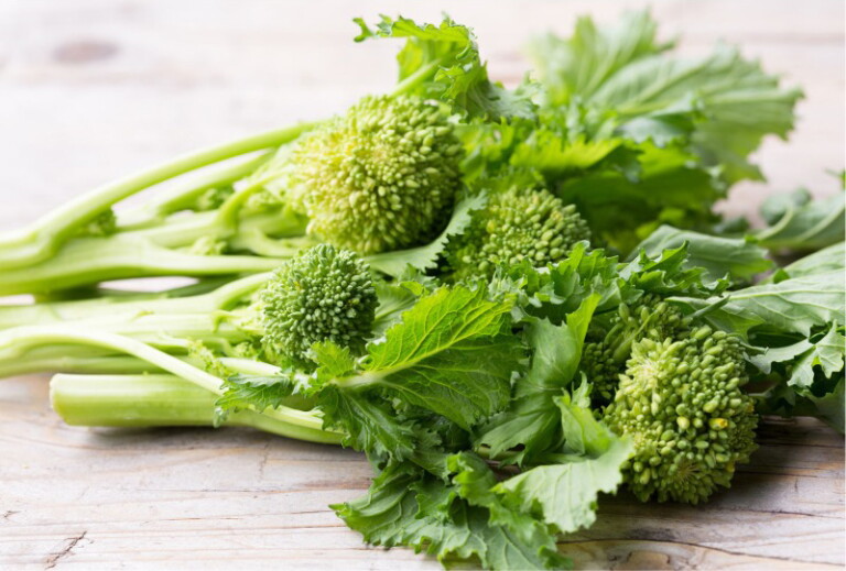 The Broccoli Family and Its Many Vegetable Cousins - The Packer