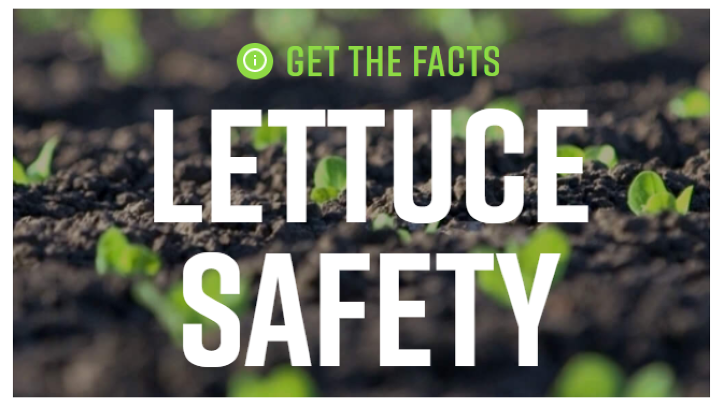 California LGMA launches information website on leafy greens - The Packer