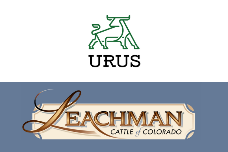 Leachman Cattle of CO Sells Majority Stake to URUS Group LP - Drovers