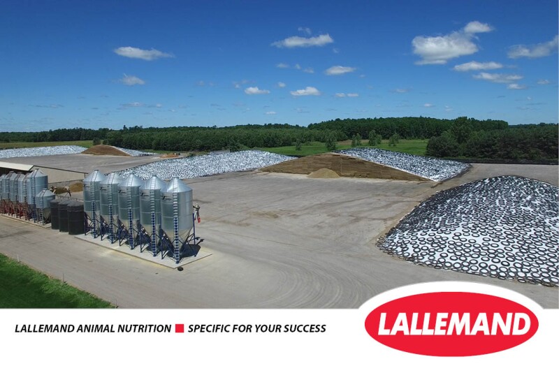 Ask the Quality Silage Experts: Ensiling Corn Under Cold Temperatures