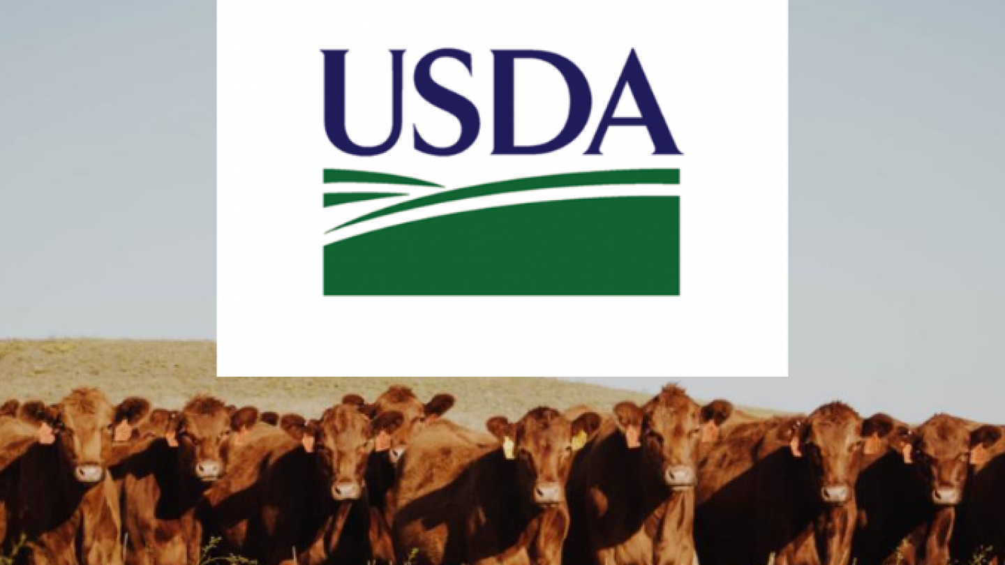 Atypical BSE Case Confirmed at South Carolina Slaughter Plant, No Trade ...