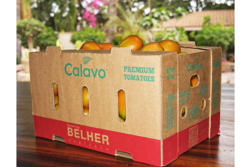 Calavo, Agrícola Belher mark 17 years of partnership with co-branded ...
