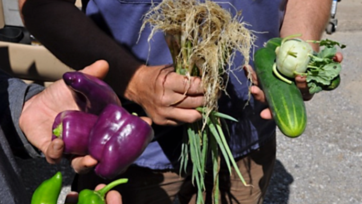 Cultivating wellness: Farm-to-pharmacy movement opens new markets for ...