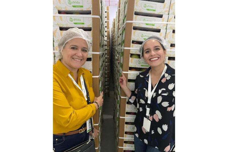 dVida expands tropical fruit availability - The Packer - Fruit and ...