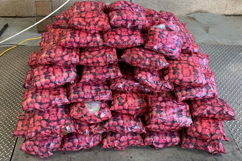 U.S. Customs and Border Protection intercepts meth in strawberries ...