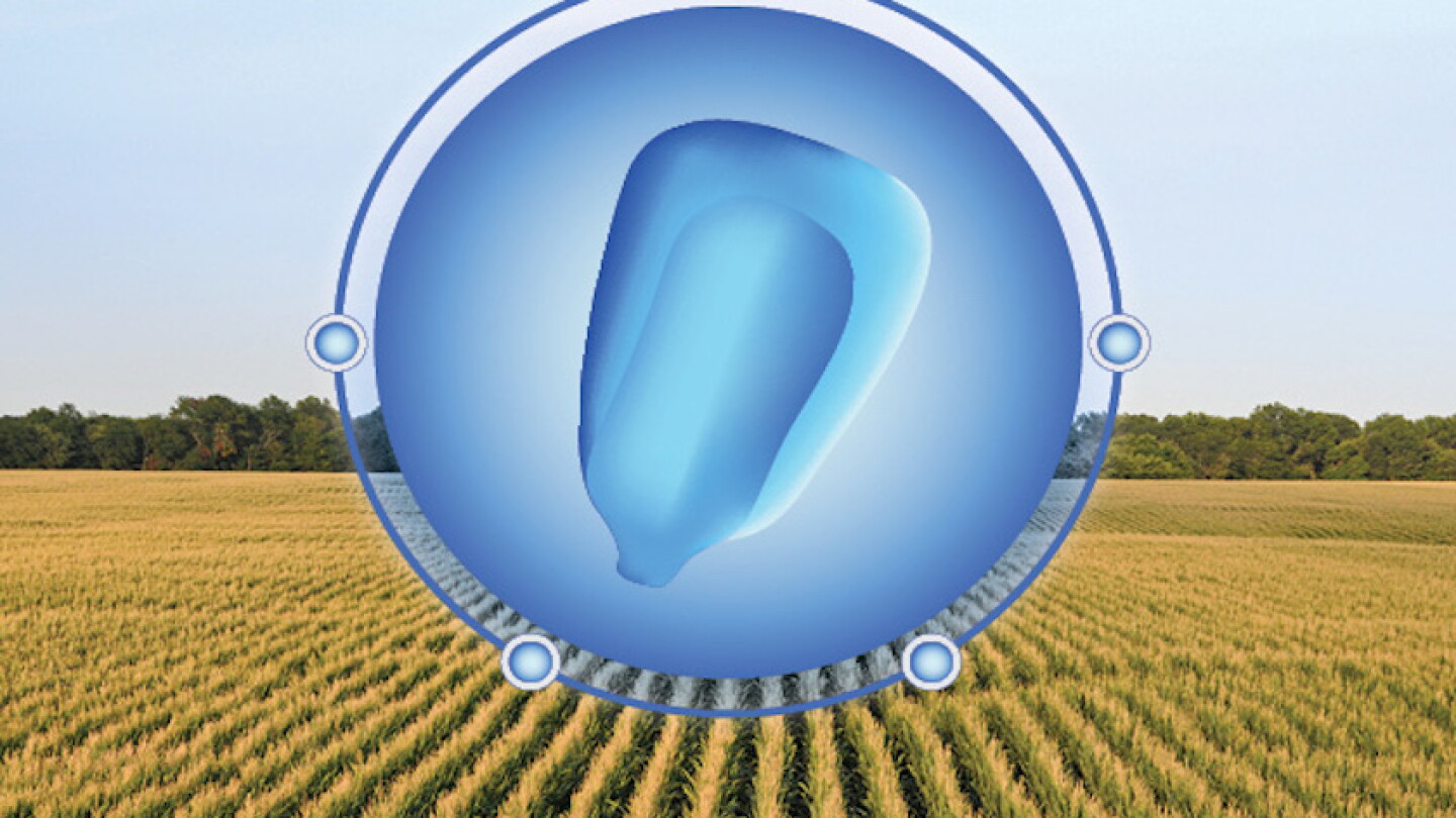8 Expert Tips for Choosing the Best Seed Corn for 2026 - AgWeb