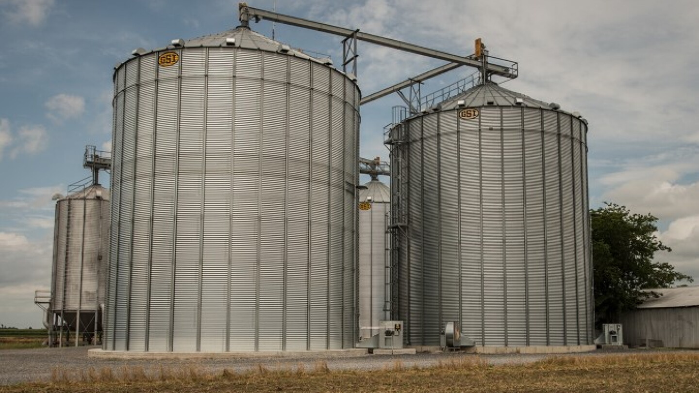 6 Strategies for Storing Mold-Afflicted Corn - AgWeb