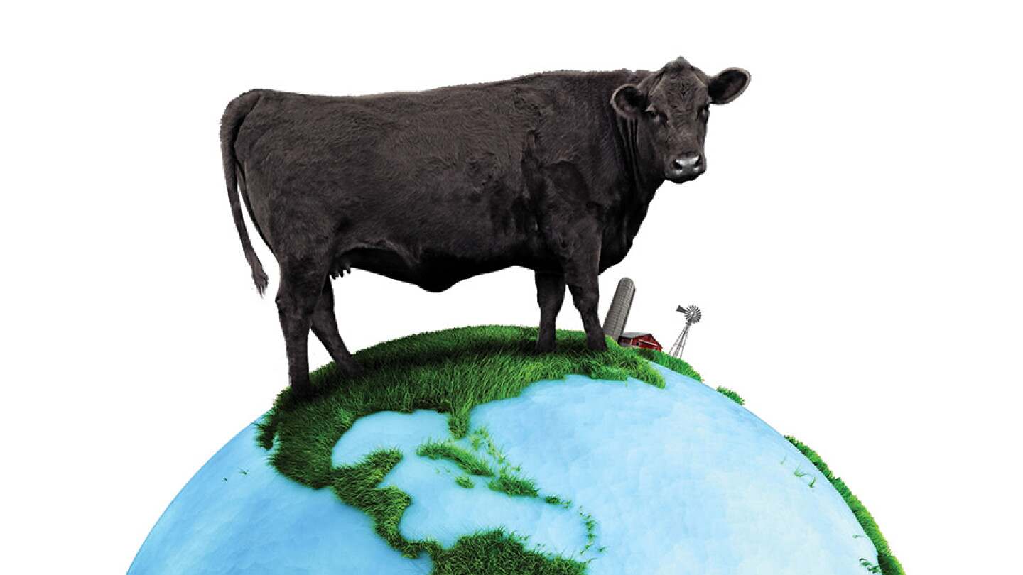 Global Beef Trade: Key Economic Insights and Trends - Drovers