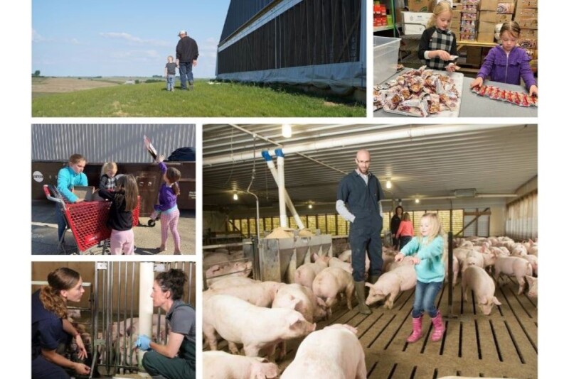 Relax! Asking for Help is Not All About You - Pork Business