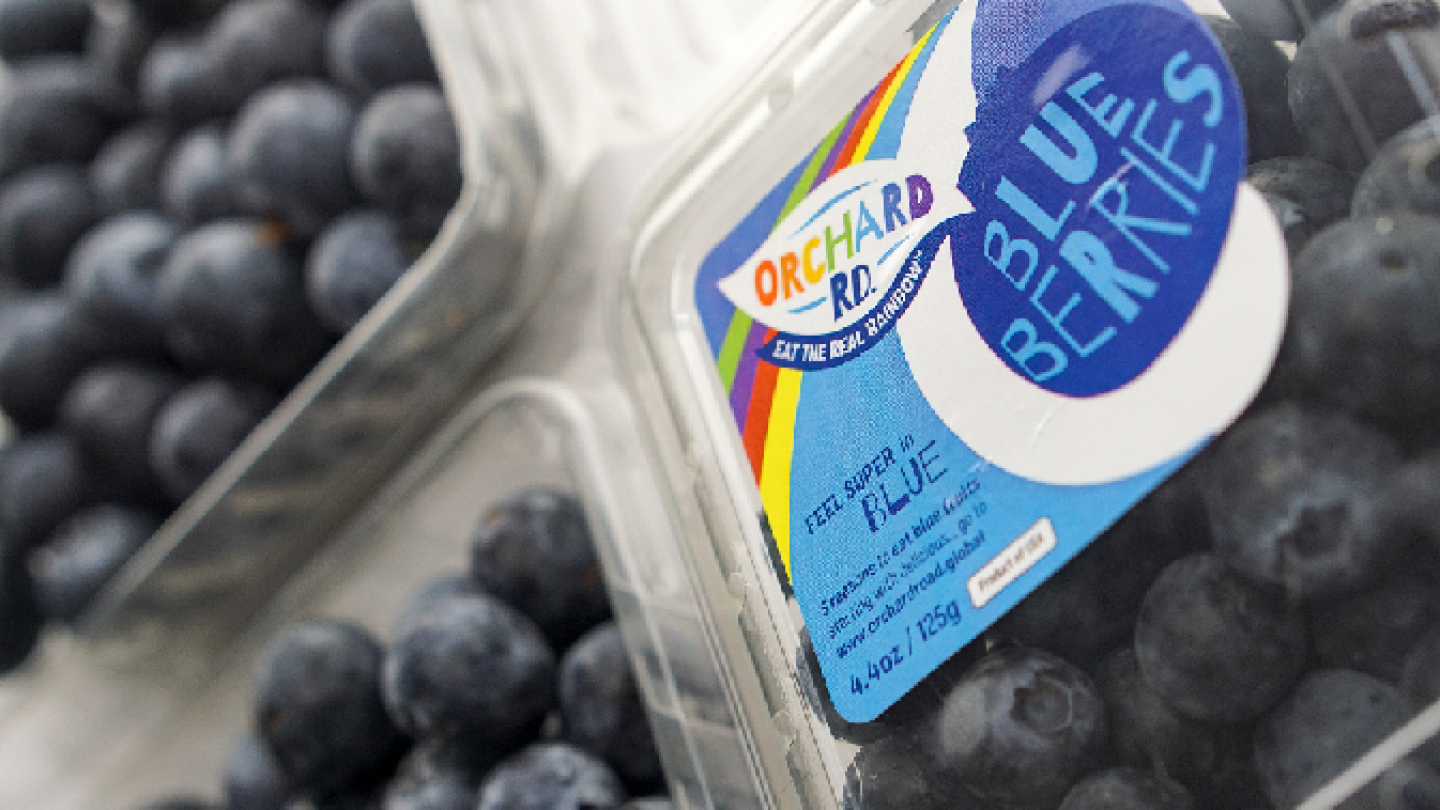 California blueberries heading to Vietnam - The Packer