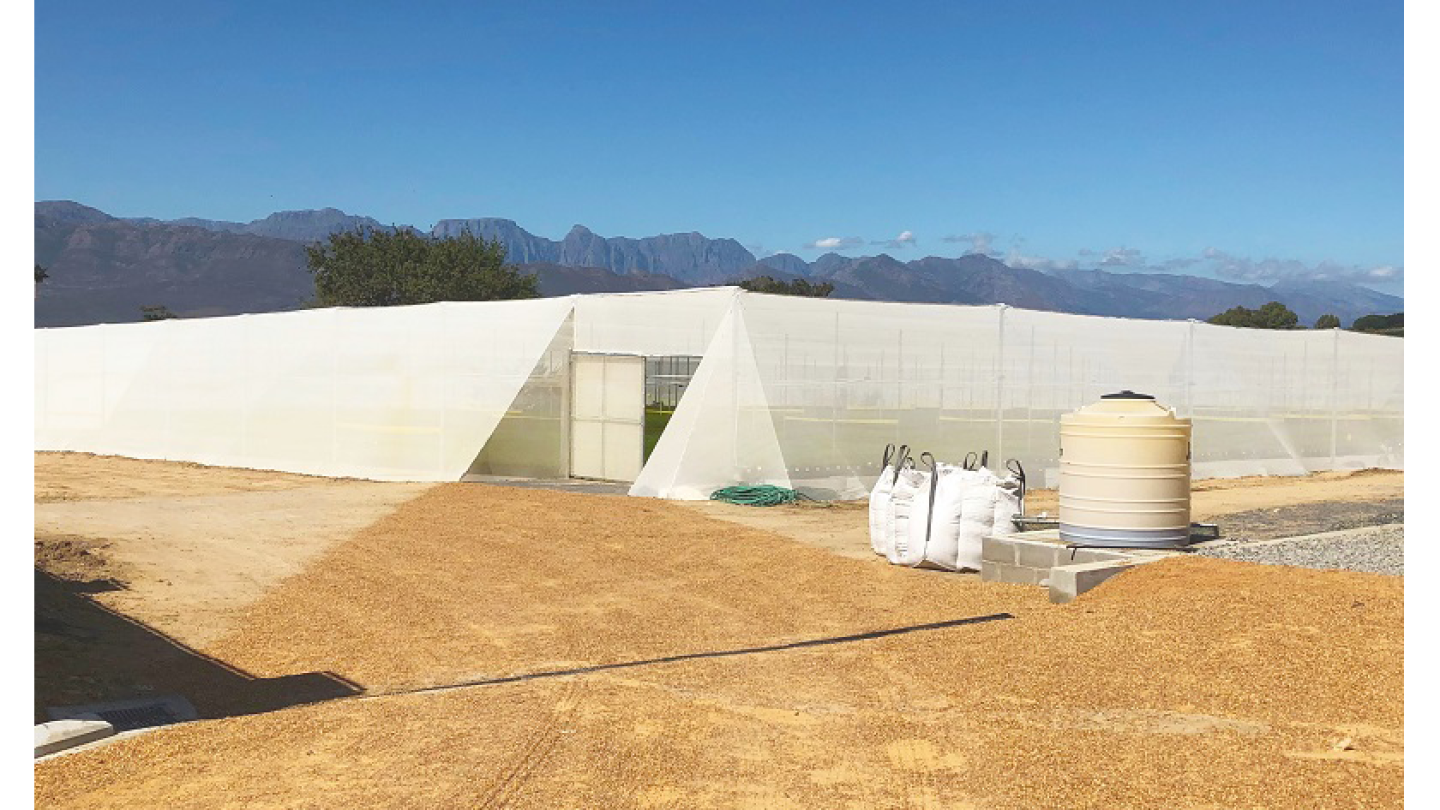 Arrigoni proposes Net House system with Robuxta - The Packer