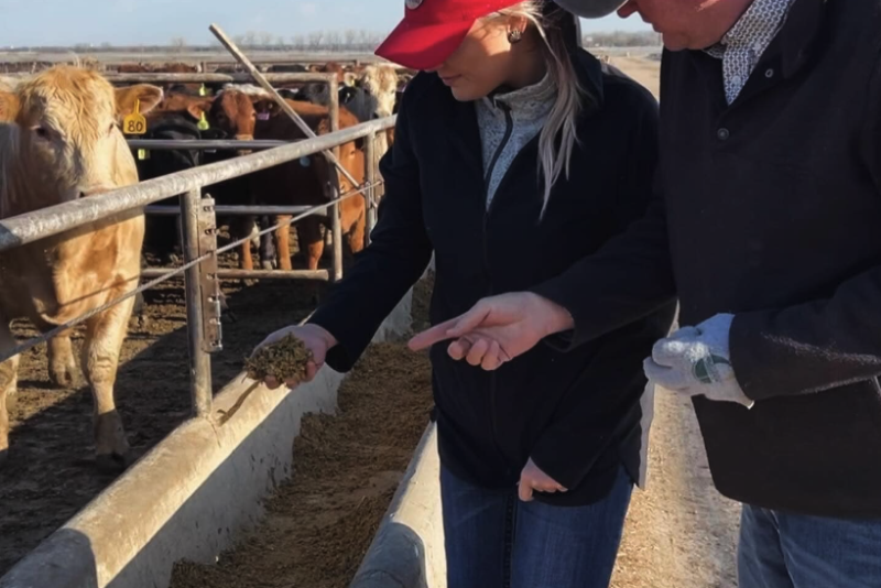 animal feed clitheroe