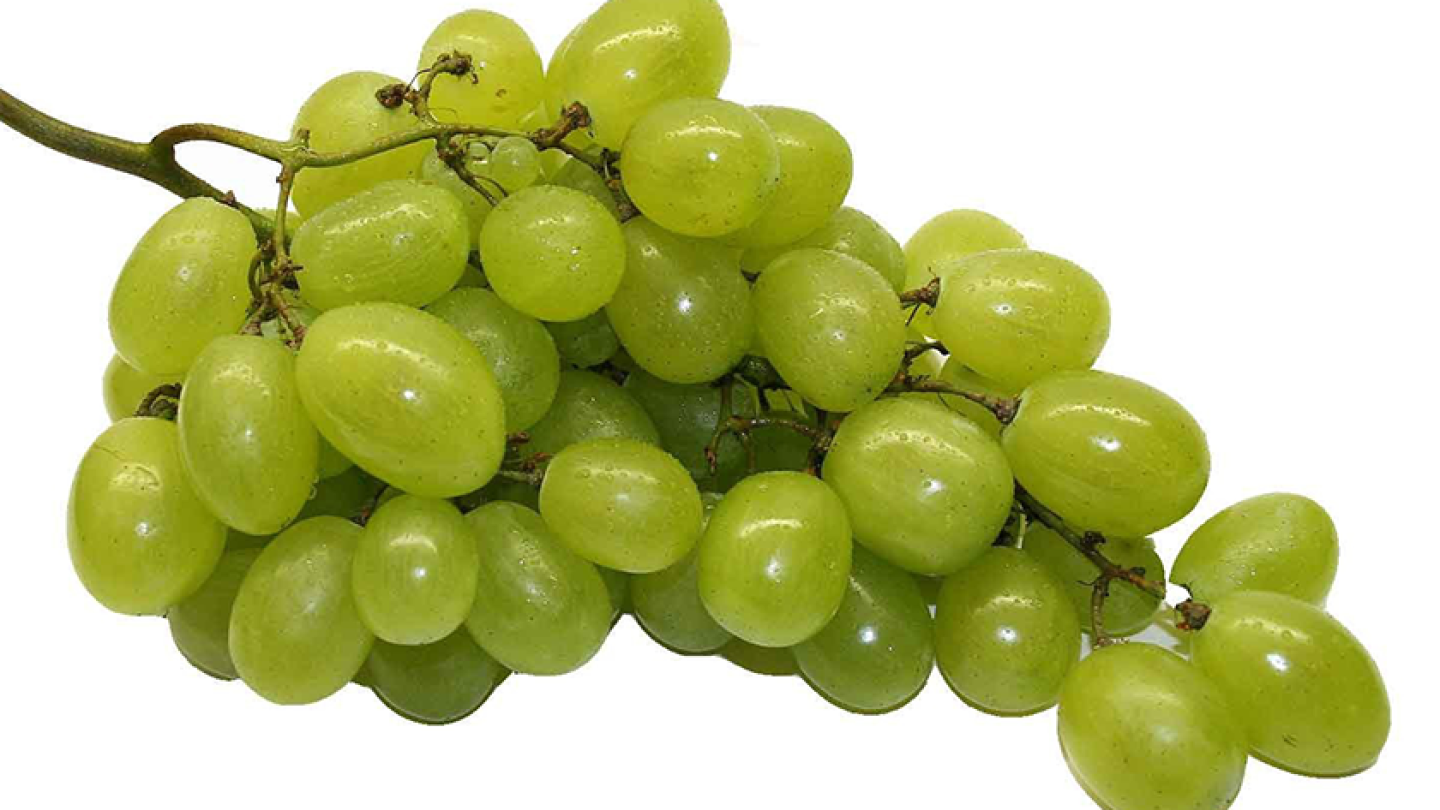 California dominates the U.S. fall grape supply - The Packer - Fruit ...