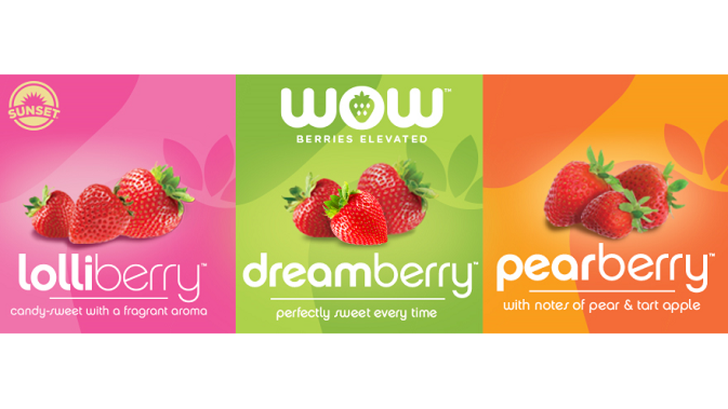 Trio of Wow strawberries from Mastronardi in high demand - The Packer ...
