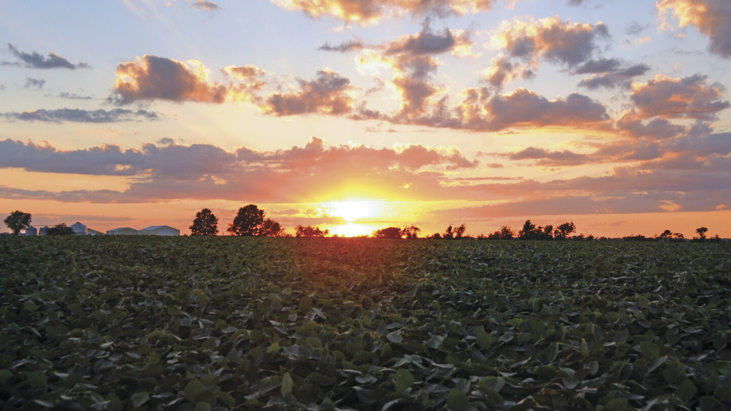 John Phipps: The Last Farmer’s Last Duty - AgWeb