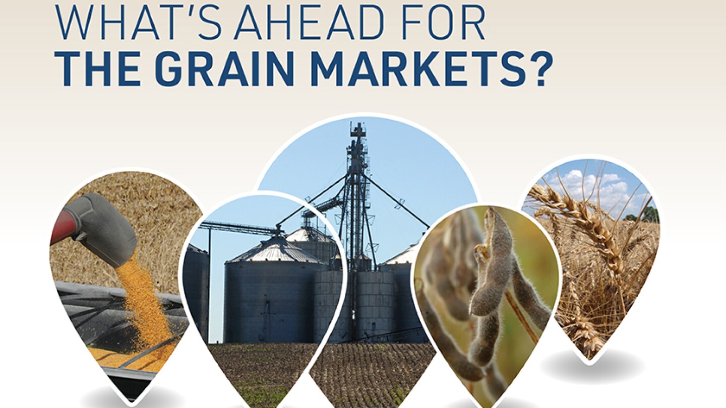 Chip Flory: What’s Ahead for the Grain Markets? - AgWeb