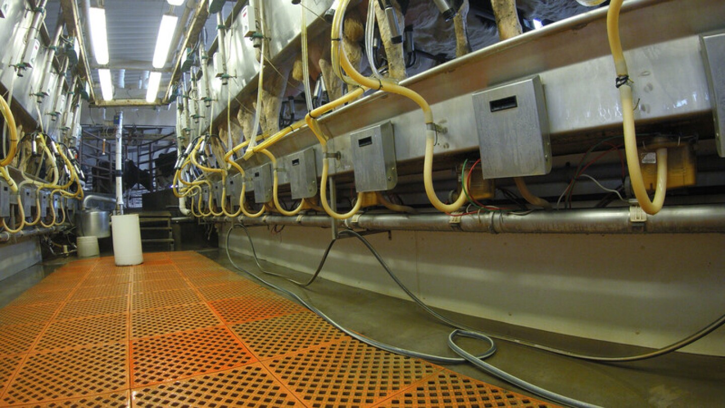 Checklist for Making Selective Dry Cow Therapy Work - Dairy Herd Management