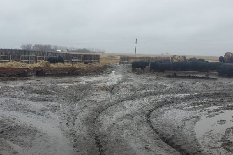 ranchers spring road