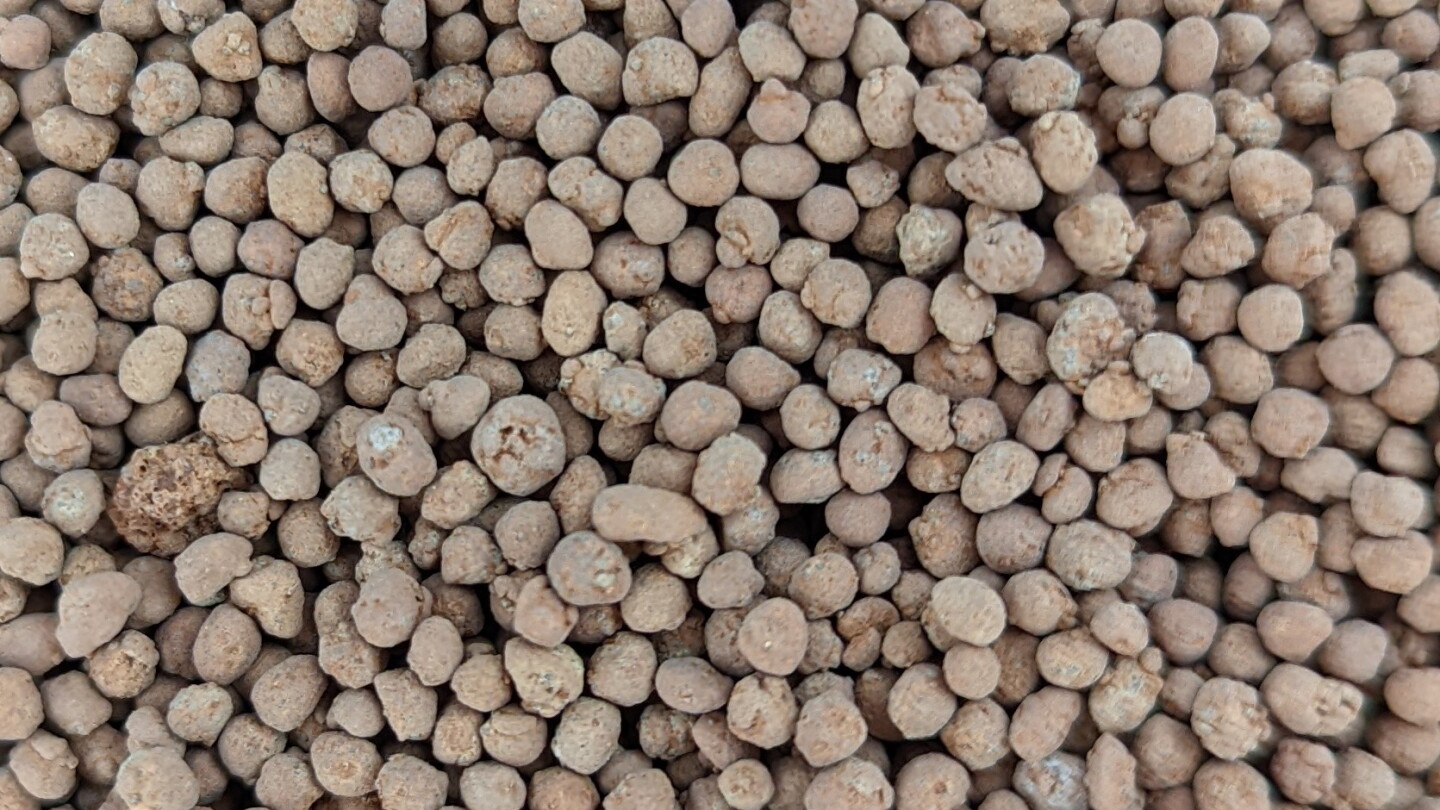 One New Way to Get More Phosphate in The Plant - AgWeb