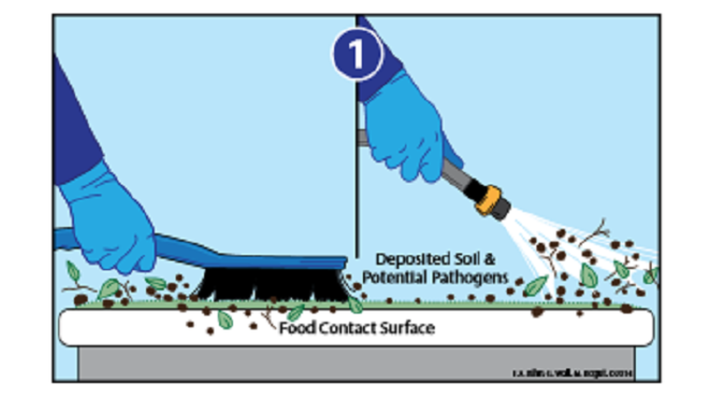 Cleaning vs. sanitization — and why it matters - The Packer