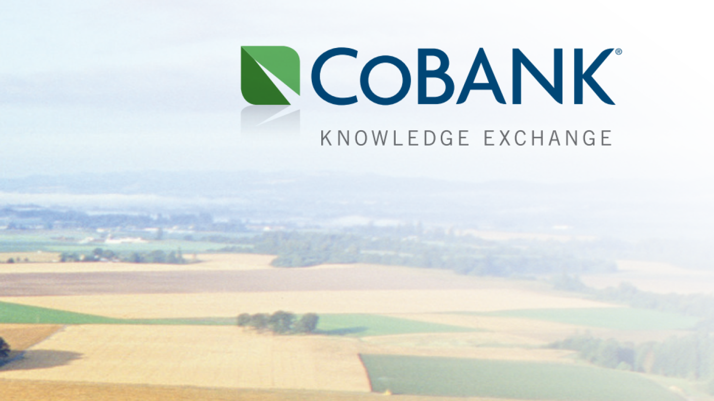 CoBank Quarterly: The Slowdown-Resistant Economy - The Scoop