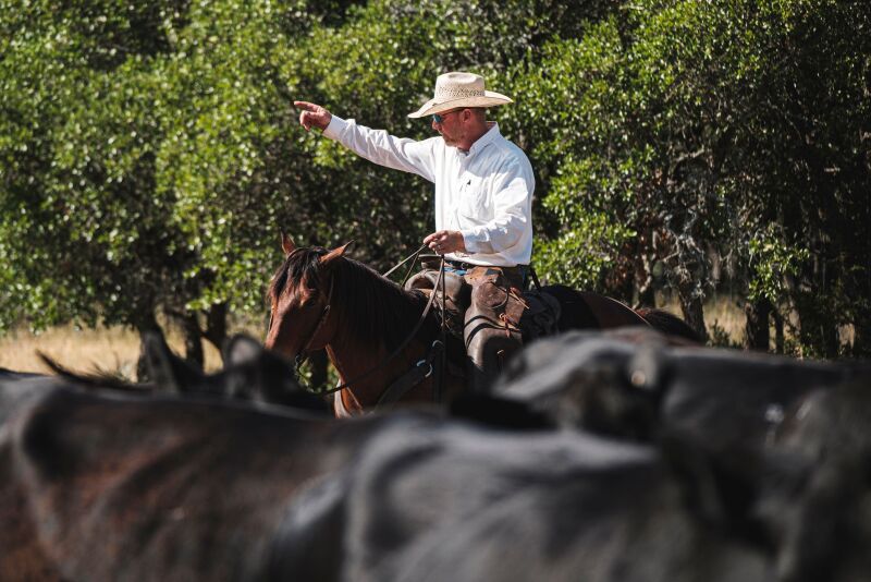 Treadwell Cattle Co. Wins Rangeland Stewardship Award - Drovers
