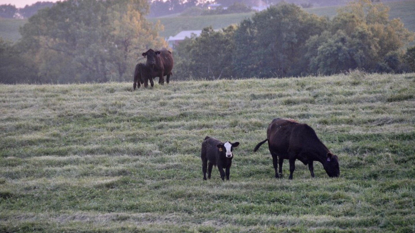 Management Tools to Maximize Reproduction