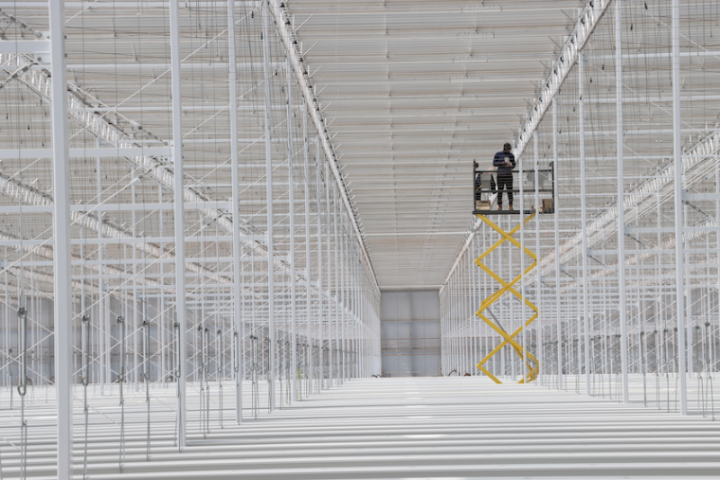 Intergrow Greenhouses opens newest expansion in New York - The Packer