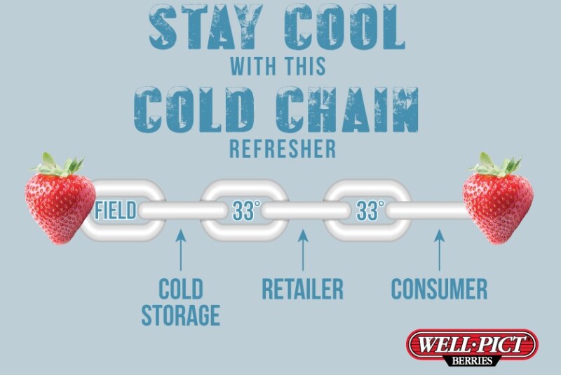 Sponsored by Well-Pict: STAY COOL WITH THIS COLD CHAIN REFRESHER - The ...
