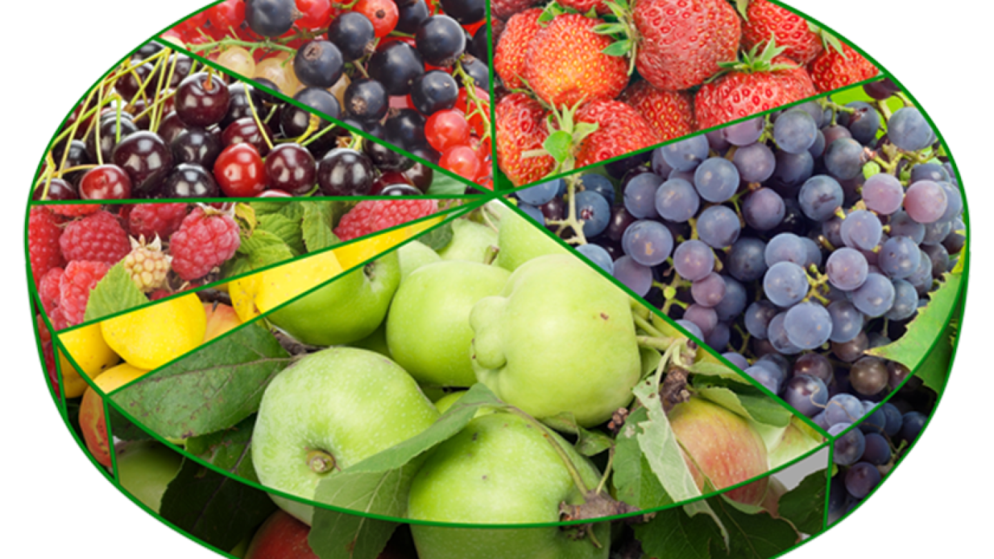 IFPA members gain access to customizable produce-consumption data by ...