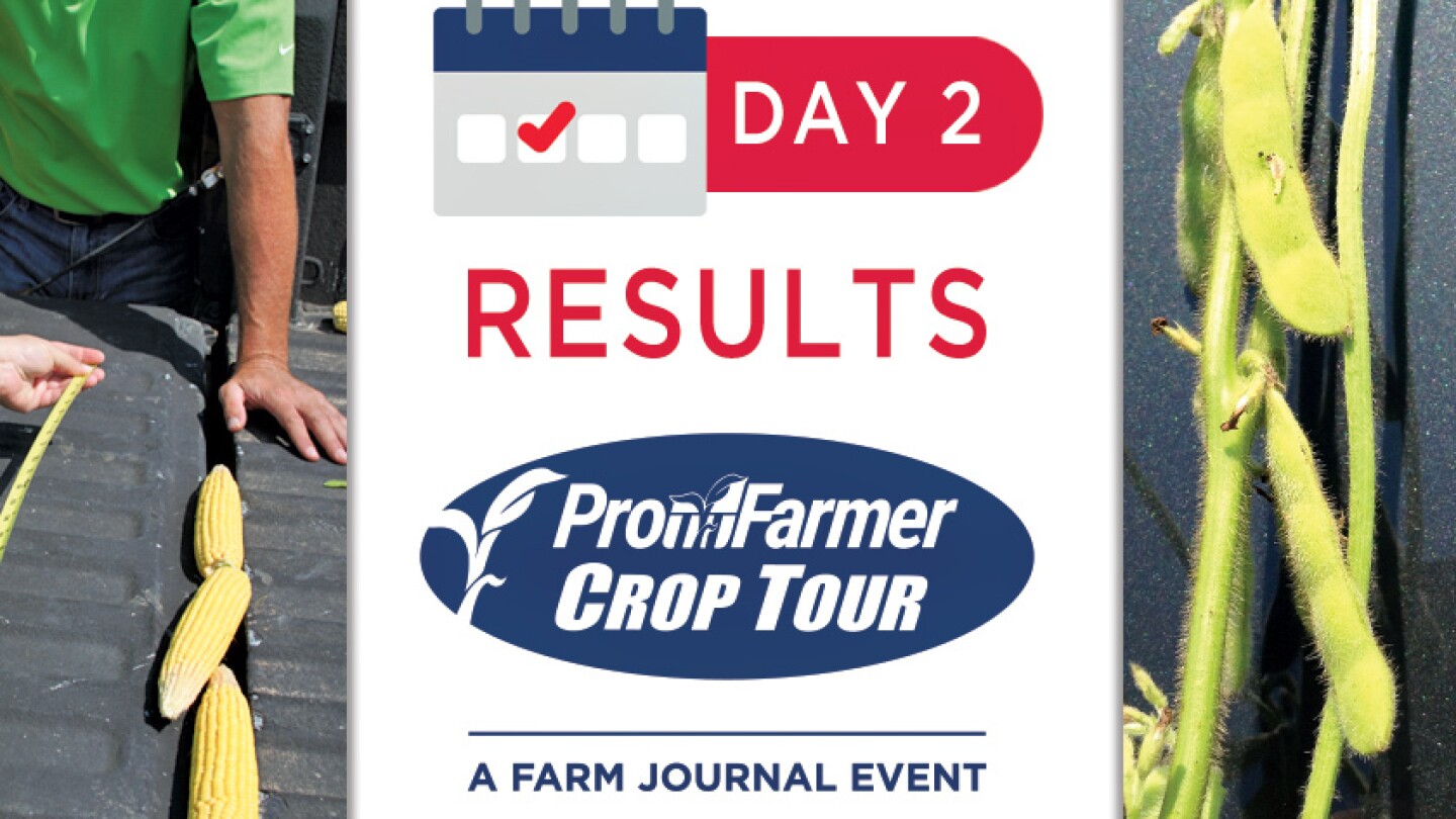 From The Rows | Aug. 22, 2023 — Chip Flory (West) - Pro Farmer