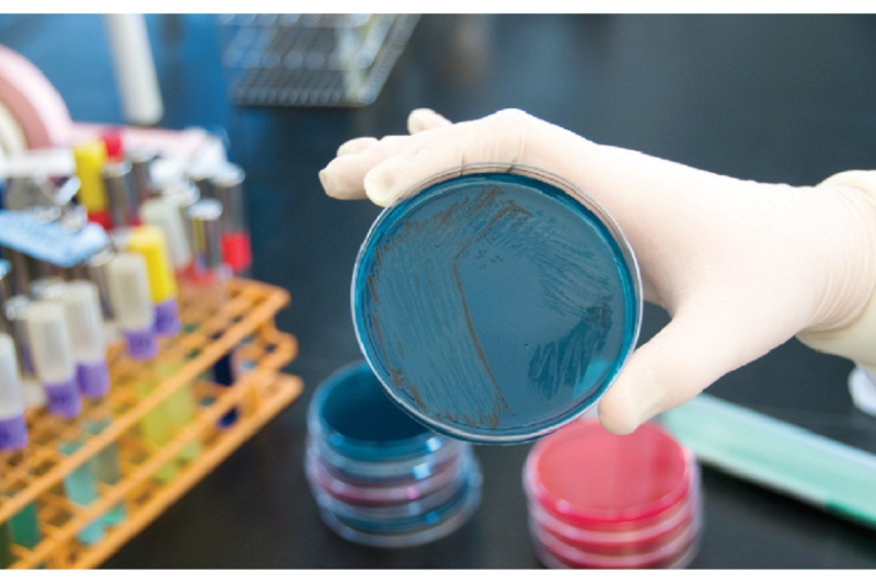 FDA proposes redesign of Human Foods Program to enhance coordinated ...