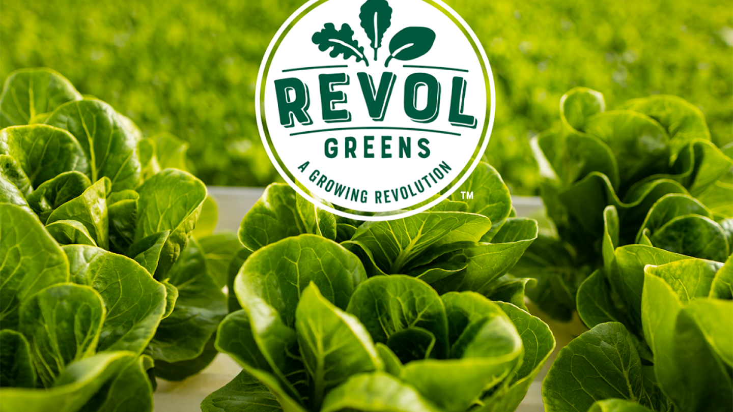 Revol Greens expands facility, launches new romaine program - The ...