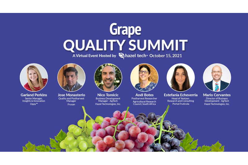 Hazel Tech to host quality summit featuring insights on grapes - The ...