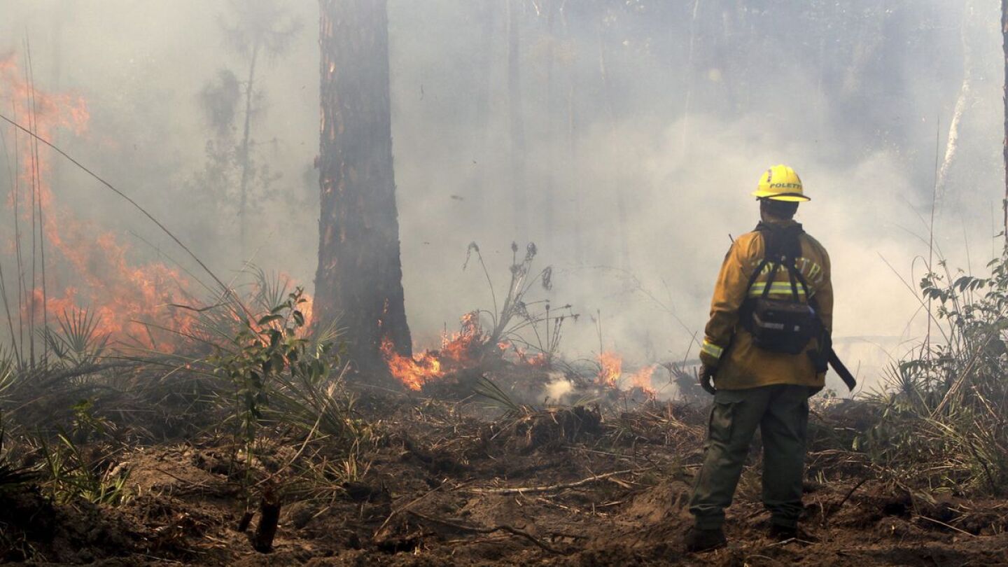 India’s Beef Boom Threatened as Old Tensions Flare - Drovers