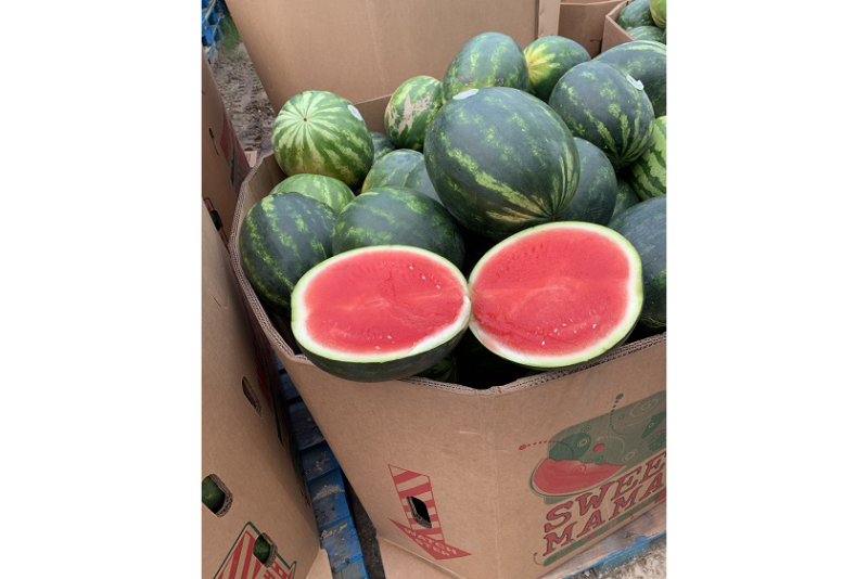 The Ruby Co. continues to expand - The Packer - Fruit and Vegetable ...