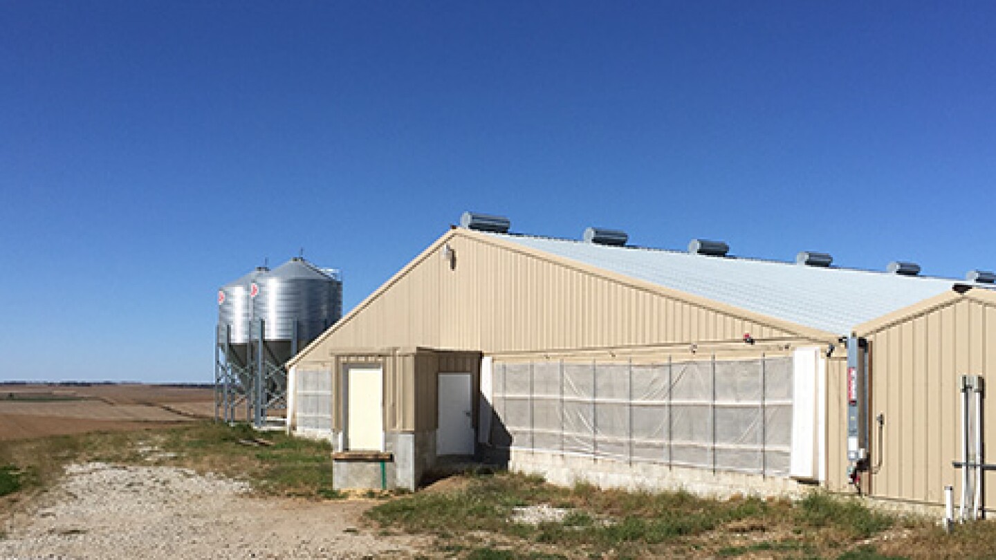 Armatrex Spray-On Antimicrobial Now Available - Bovine Vet