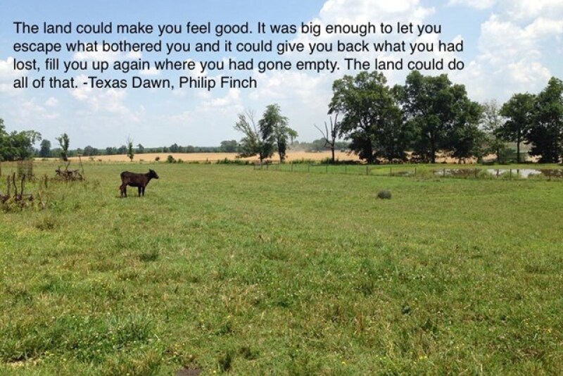 Rational Irrationality and Satter's Hierarchy of Food Needs - AgWeb