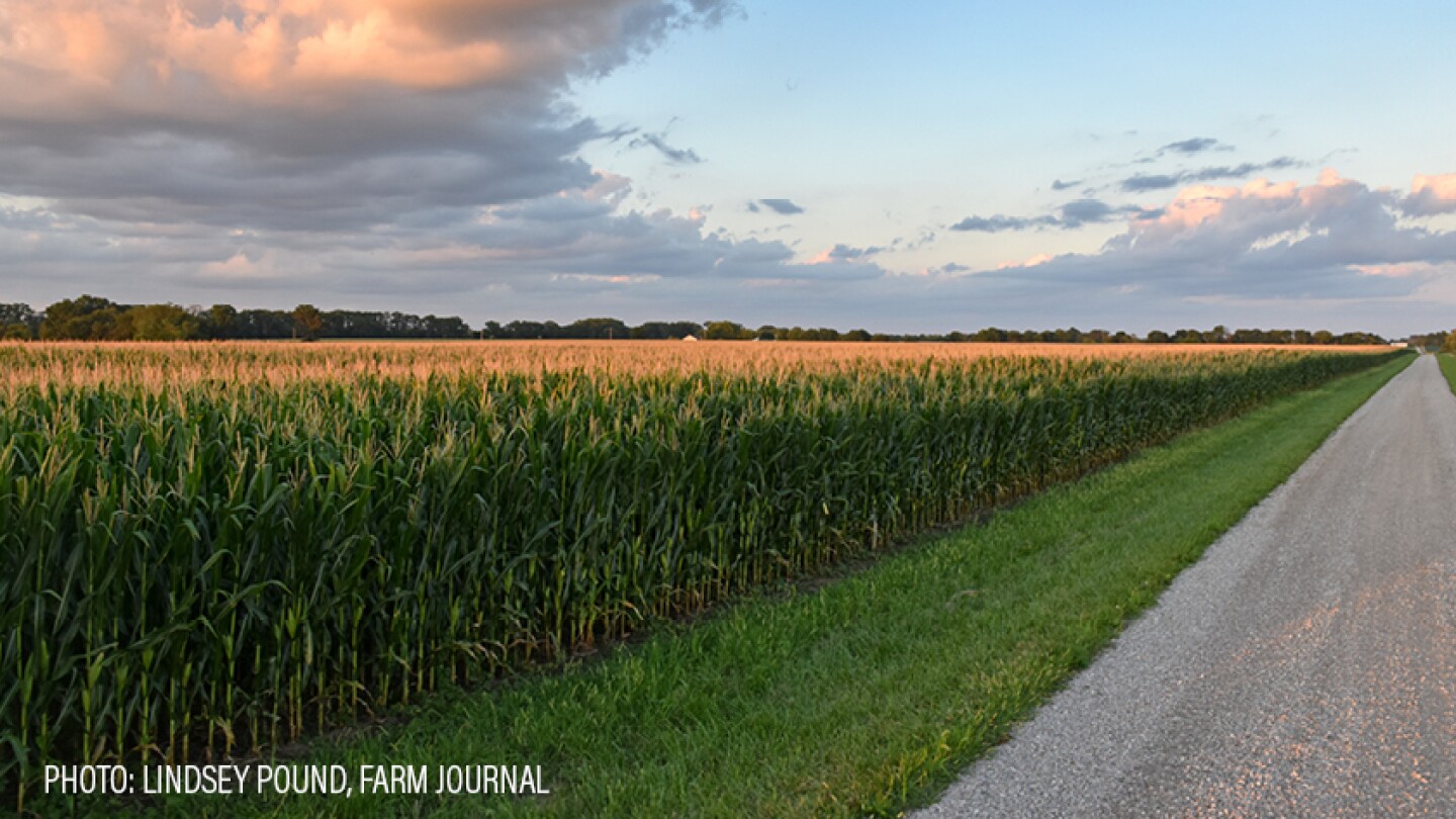 USDA's Interim Rule for Climate-Smart Crops Used As Biofuel Feedstocks ...